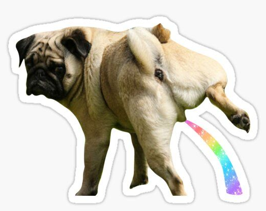 perro Blank Template - Imgflip