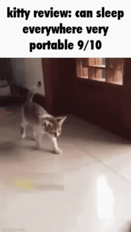 Kitty - Imgflip