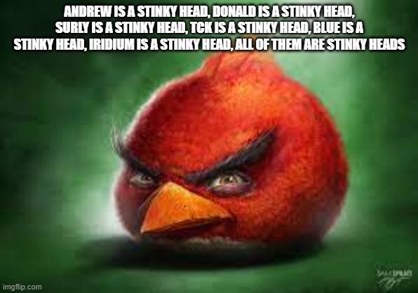 Realistic Red Angry Birds - Imgflip