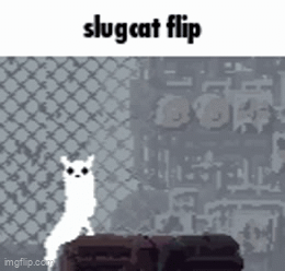 Animated GIF - Imgflip