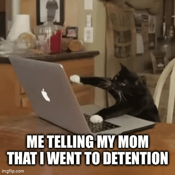 Typing kitty - Imgflip