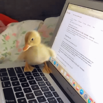 Hey, Whatcha Reading? - Imgflip