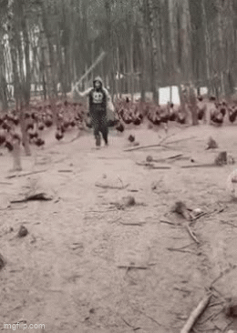 Onward, My Chicken Army ! - Imgflip
