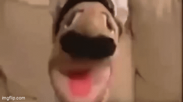 chef pee pee? chef pee pee please answer me - Imgflip