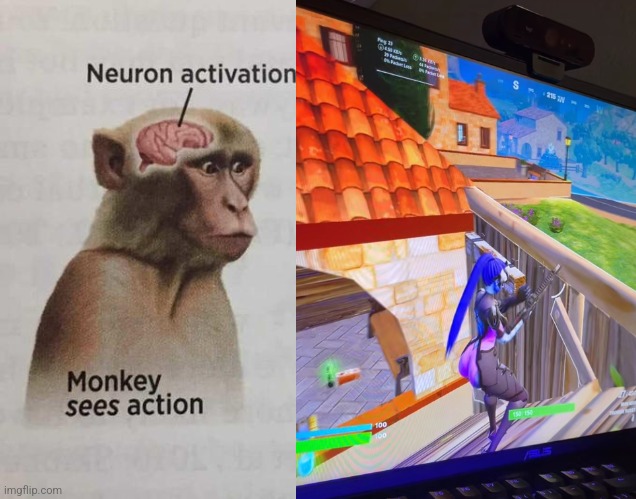 Monkey neuron activation - Imgflip