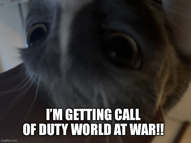 also I made a new temp - Imgflip