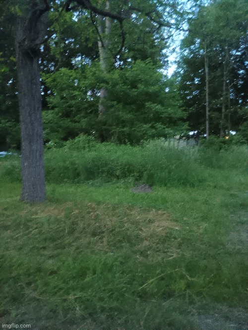 Wow. It's so nice being OUTSIDE. - Imgflip