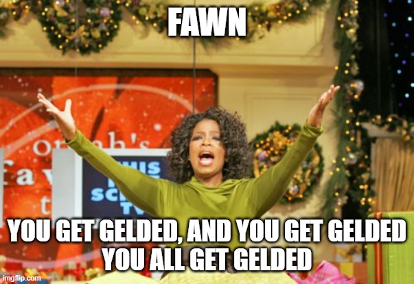 You Get An X And You Get An X Meme - Imgflip