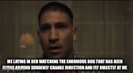 Bug in room - Imgflip