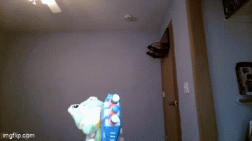 I never thought getting FROGGY a gun would go like this - Imgflip