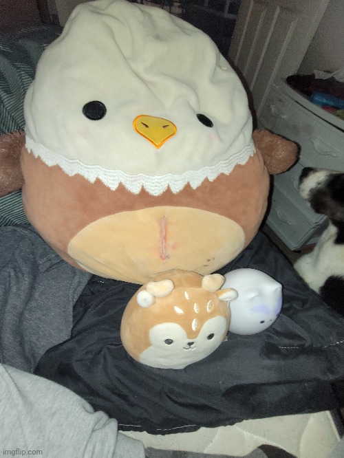 cat lamp and another mallow for scale - Imgflip