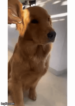 Aah ... That's The Spot ! - Imgflip