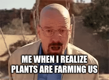 Walter White Breaks Down - Imgflip