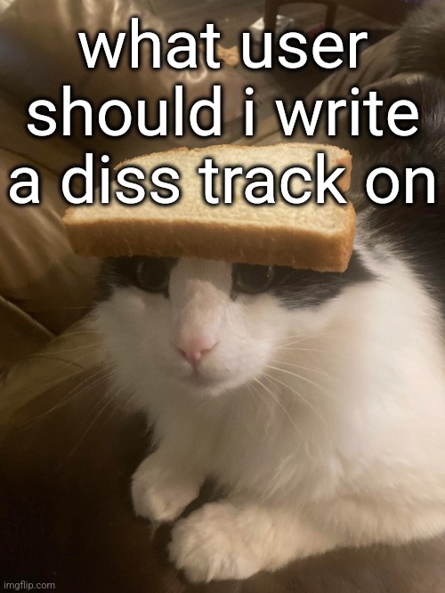 bread cat - Imgflip
