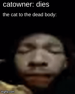 yummy dead bodie - Imgflip