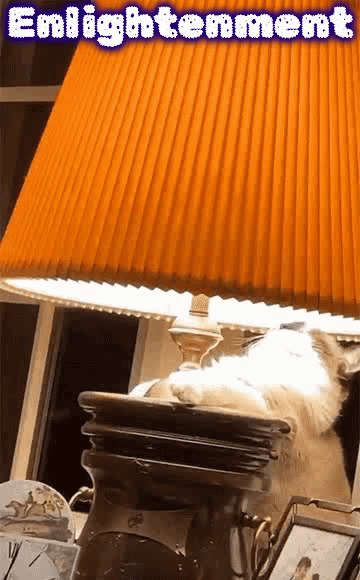 Enlightenment - Imgflip