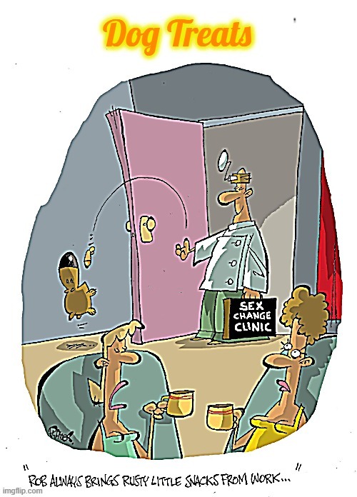 The Doctor`s Dog - Imgflip