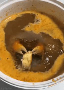 When You Order Fresh Crab ! - Imgflip