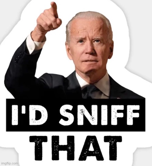 What the heck!?(Morpeko: this is imgflip, not Alabama) - Imgflip