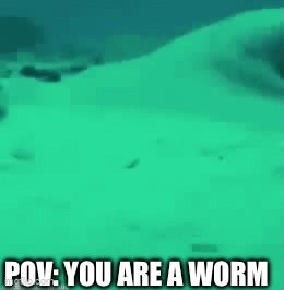 Fish Staring At Your Soul. - Imgflip