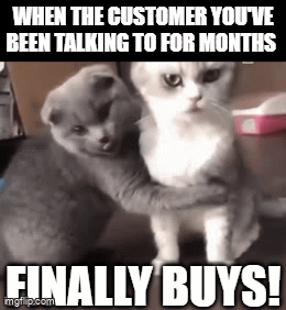 Sales Cats - Imgflip