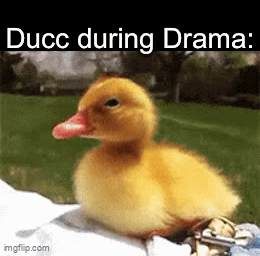 Msmg slander pt 4 - Imgflip