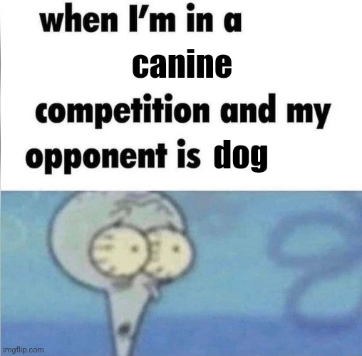 whe i'm in a competition and my opponent is - Imgflip