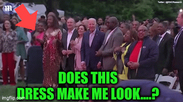 A dress for any (Democrat) occasion - Imgflip