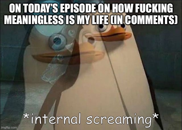 Private Internal Screaming - Imgflip