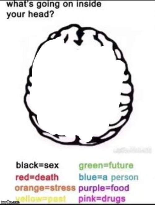 Brain empty - Imgflip