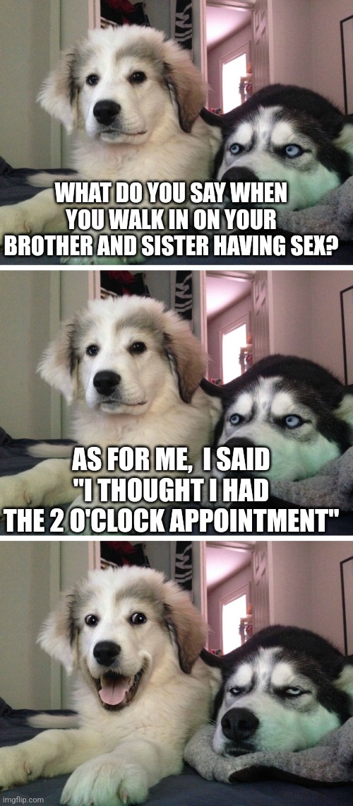 Bad pun dogs - Imgflip