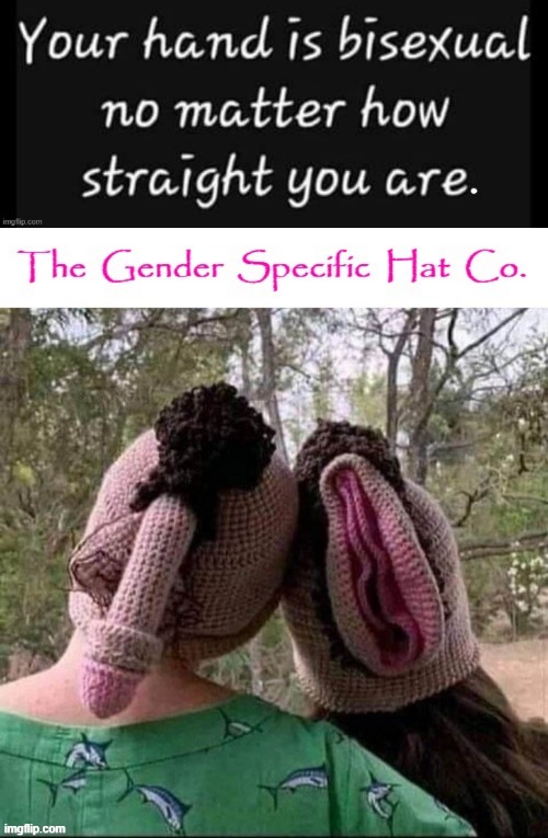 Bisexual - Imgflip