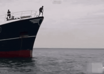 Nice Dive ! - Imgflip