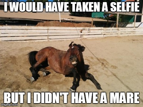 Bad Joke Horse - Imgflip