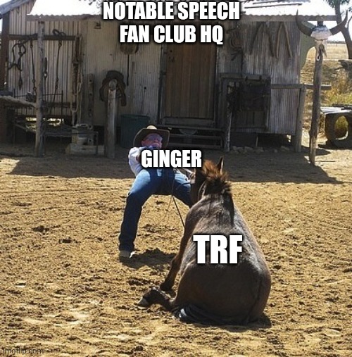 stubborn mule - Imgflip