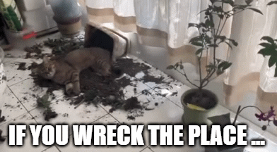 It's a CATASTROPHE ! - Imgflip