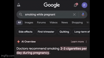 WTF, Google AI? - Imgflip