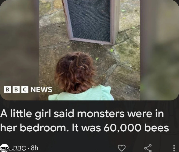 You would not believe your knees if 60,000 bees flew out and attacked ...