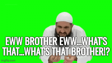 EWW BROTHER EWW WHAT'S THAT BROTHER - Imgflip