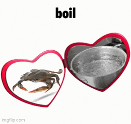 boiled one phenomenon - Imgflip