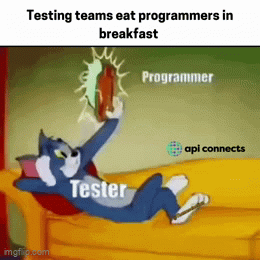 The Coding Rollercoaster - Imgflip
