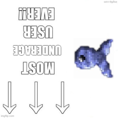 Image tagged in most underage user ever - Imgflip