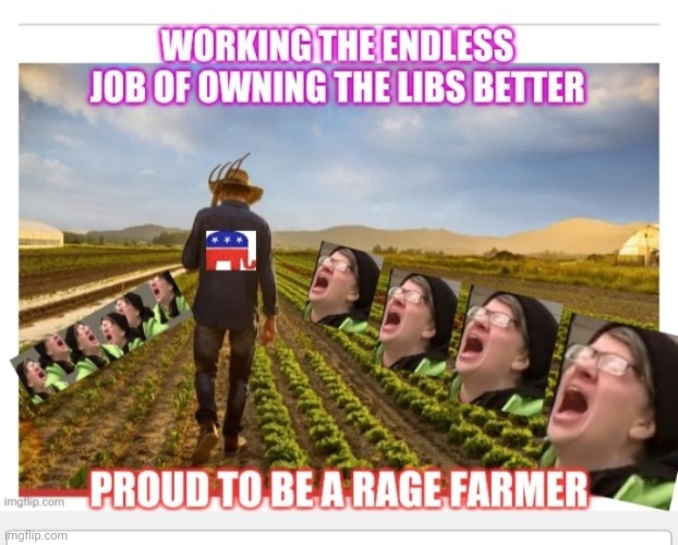 Daily Trigger - Imgflip