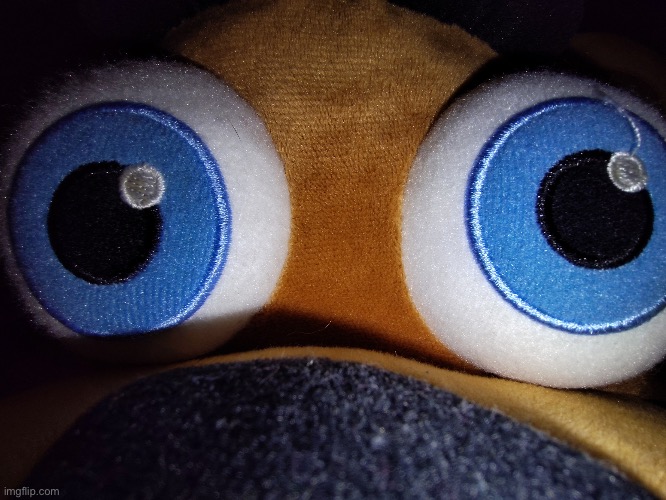 feddy what - Imgflip