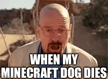 POV: When My Dog Dies - Imgflip