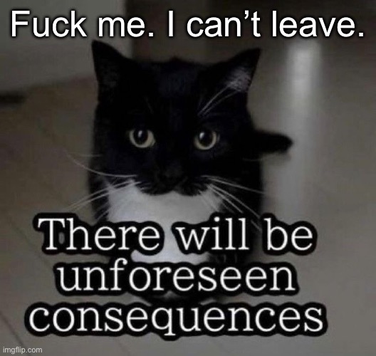There will be unforeseen consequences - Imgflip