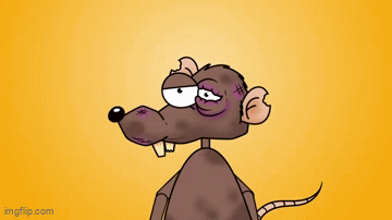 Gibberish Mouse - Imgflip