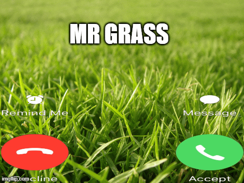 Grass is calling yo name - Imgflip