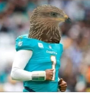 Hawk Tua Blank Template - Imgflip