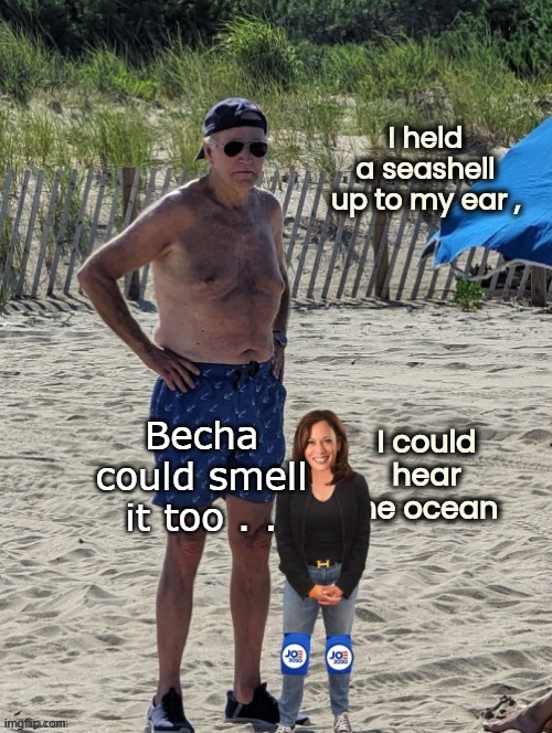 seashell - Imgflip